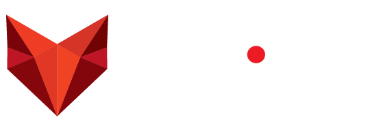 FOX SOFTWARE – WE VALUE YOUR TIME